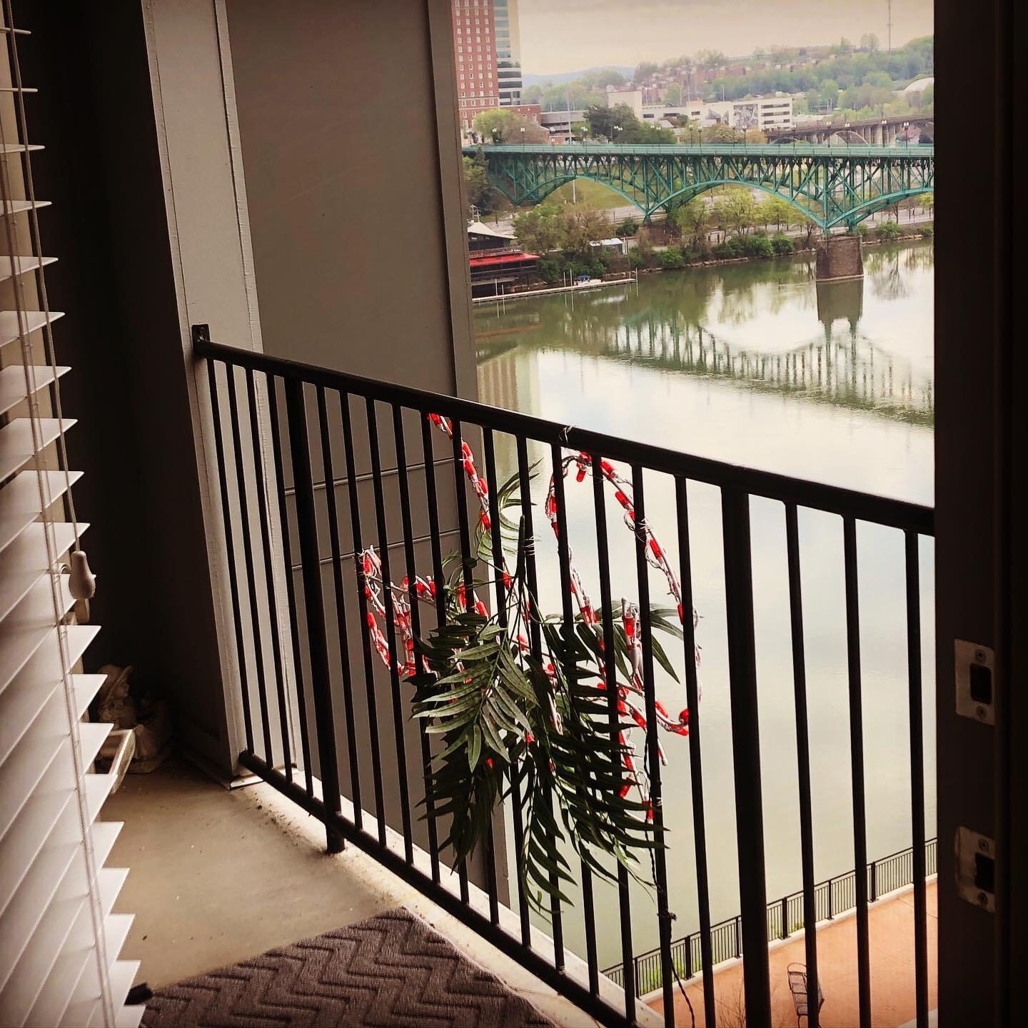 Palm Sunday in a Pandemic | Ragamuffin Oasis: Finding Our Places to Just Be