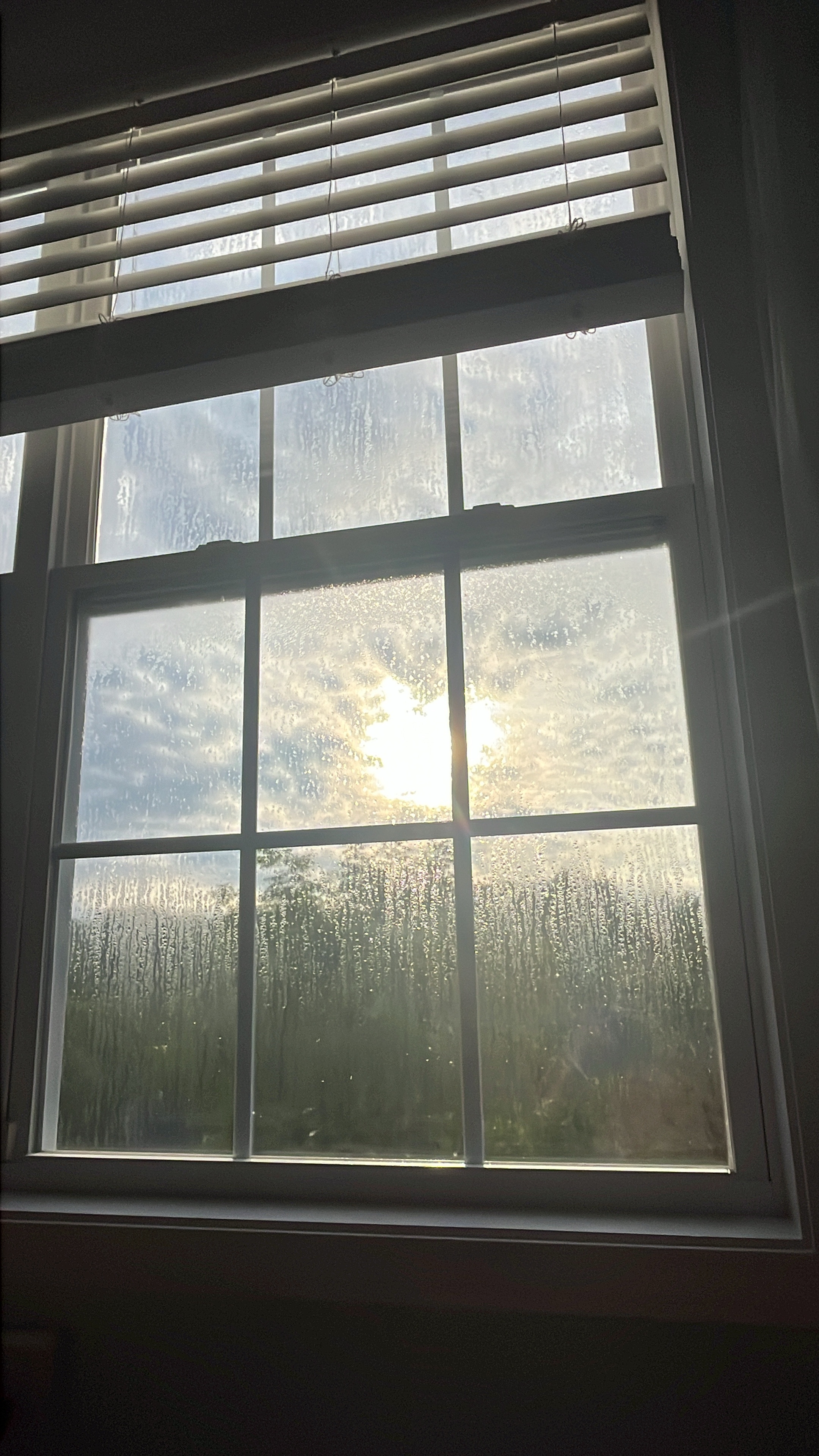 A Morning Haiku | Ragamuffin Oasis: Finding Our Places to Just Be